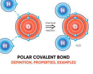Polar Covalent Bond Examples