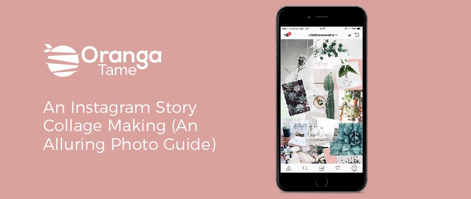 An Instagram Story Collage Making An Alluring Photo Guide 